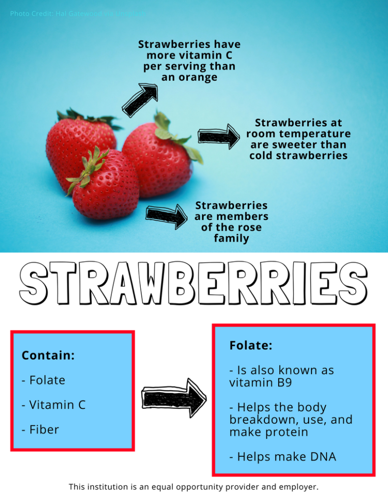 Fruit Fact Flyers for School Cafeterias - Well Resourced Dietitian