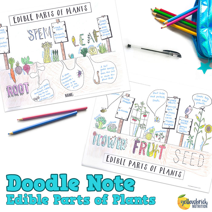 Doodle Note, Edible Parts of Plants, Nutrition Lesson - Well Resourced ...