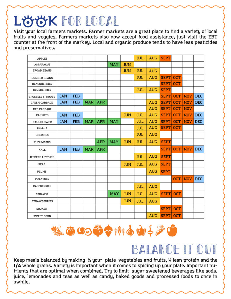 Plant Based Diet Handout | Well Resourced Dietitian