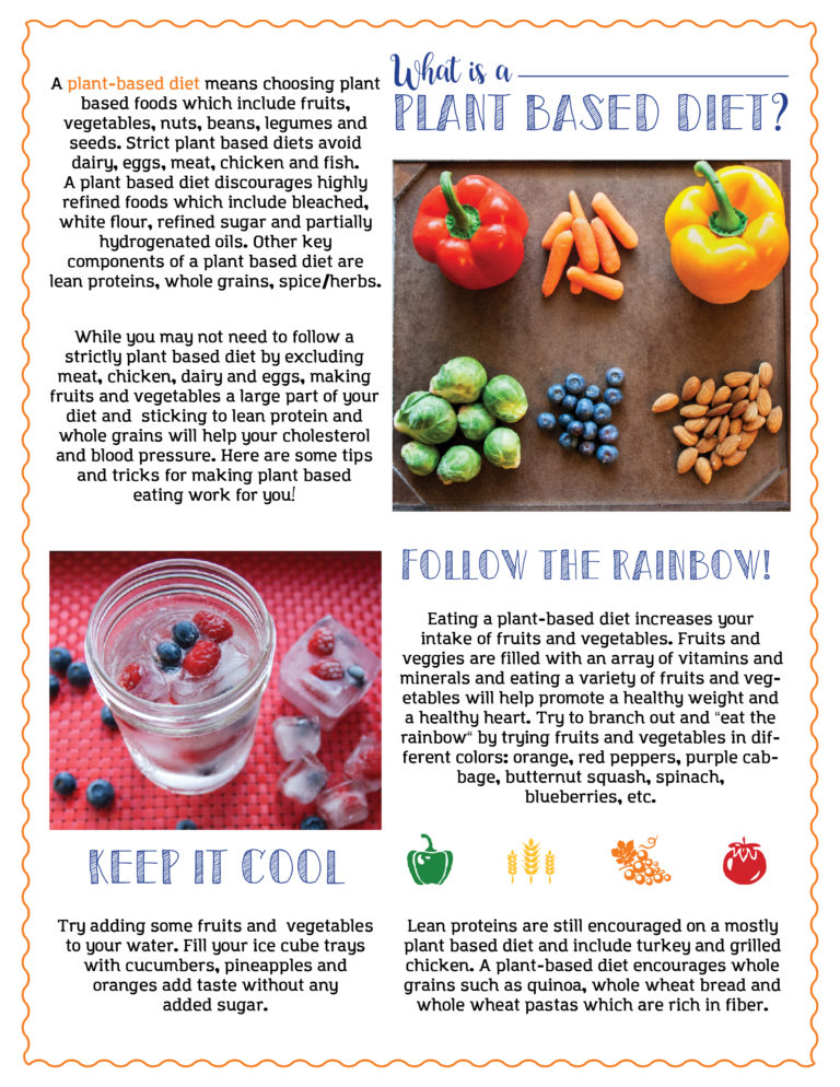 Plant Based Diet Handout | Well Resourced Dietitian
