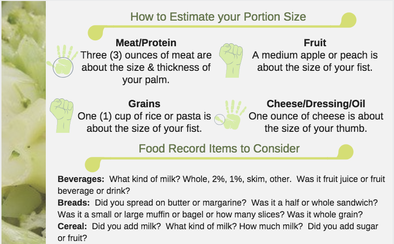 Weekly Food Record - Well Resourced Dietitian