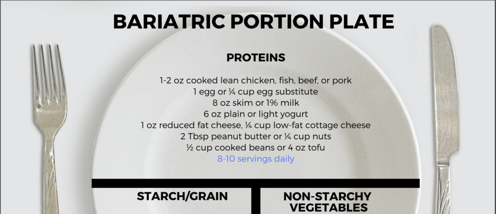 Bariatric Portion Plate - Well Resourced Dietitian