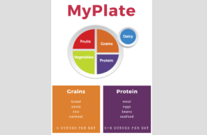 MyPlate Education Handout for Kids - Well Resourced Dietitian