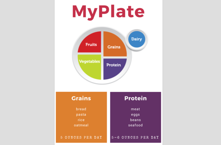 MyPlate Education Handout for Kids - Well Resourced Dietitian