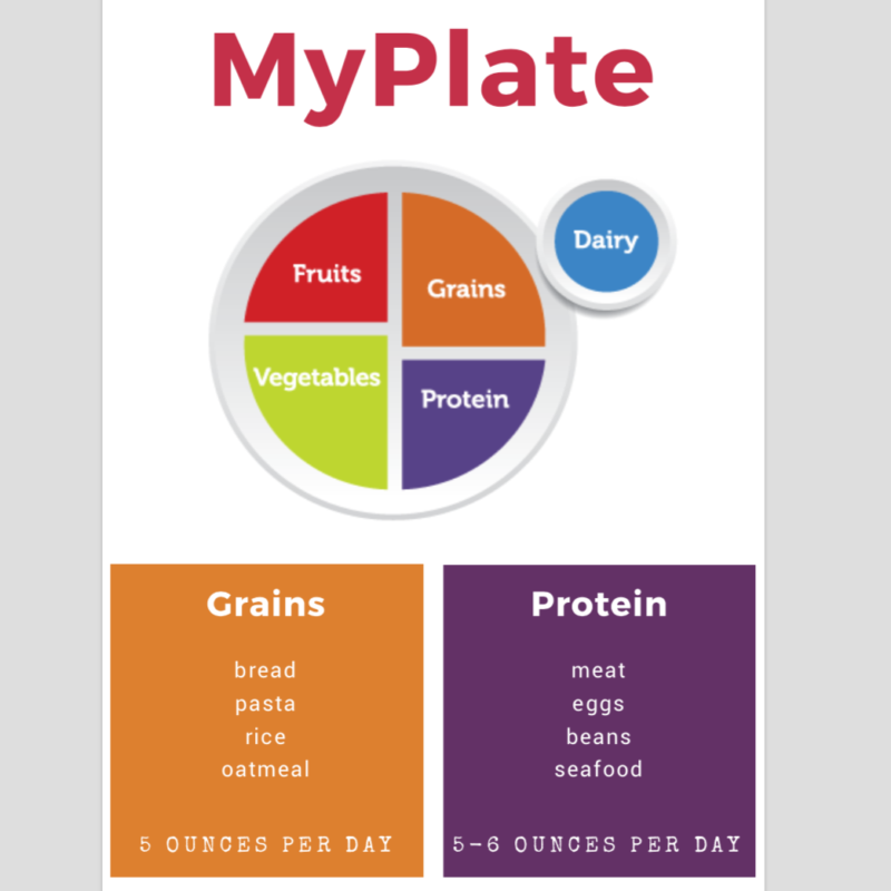 MyPlate Education Handout for Kids - Well Resourced Dietitian