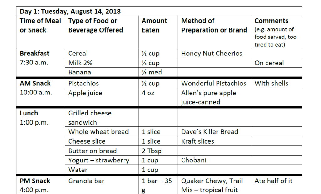 Client 3 Day Food Log - Well Resourced Dietitian