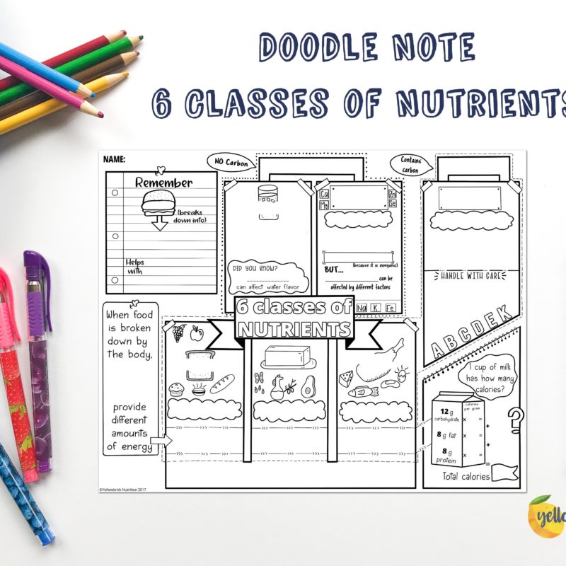 6 Classes of Nutrients Doodle Note, Handout - Well Resourced Dietitian