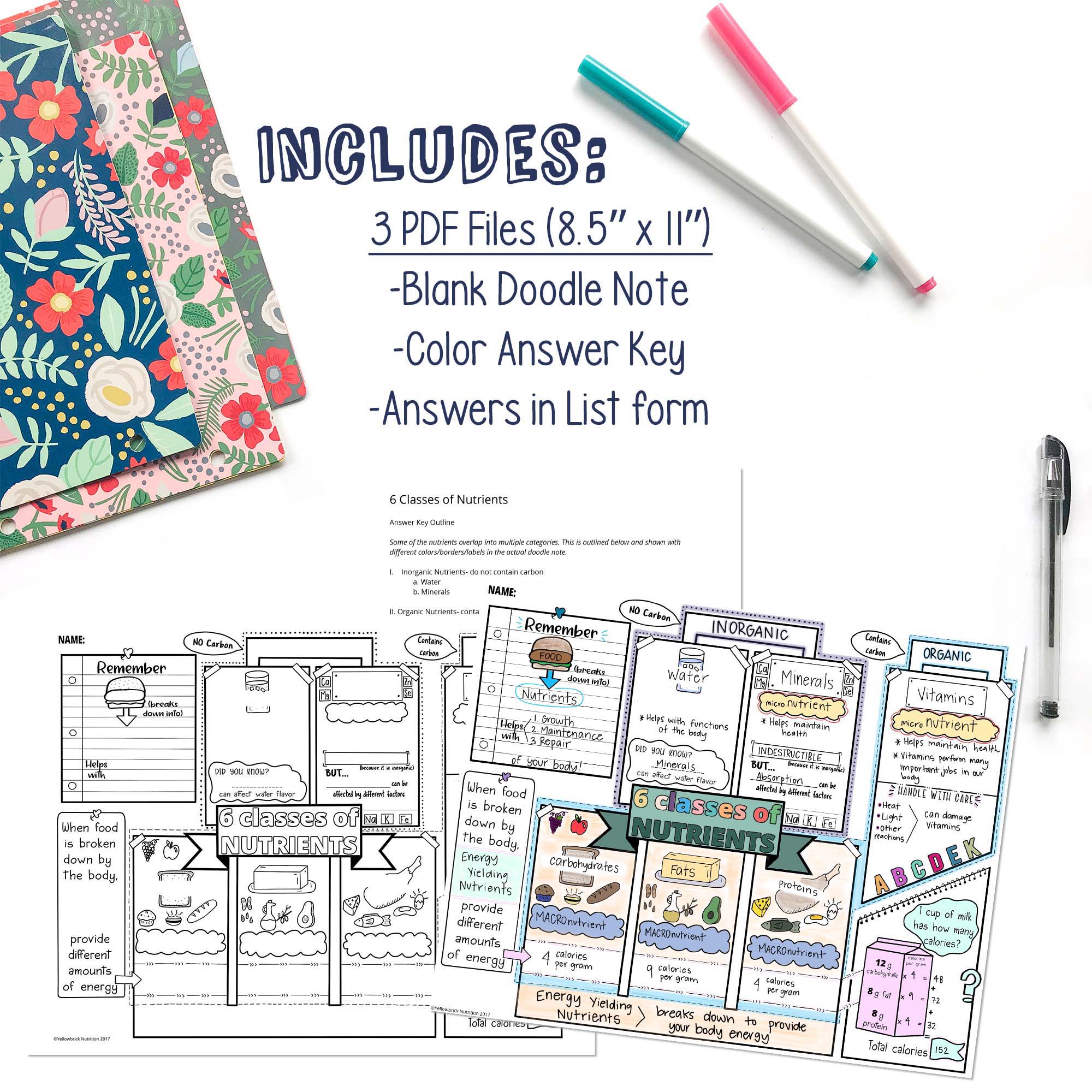 6 Classes of Nutrients Doodle Note, Handout - Well Resourced Dietitian