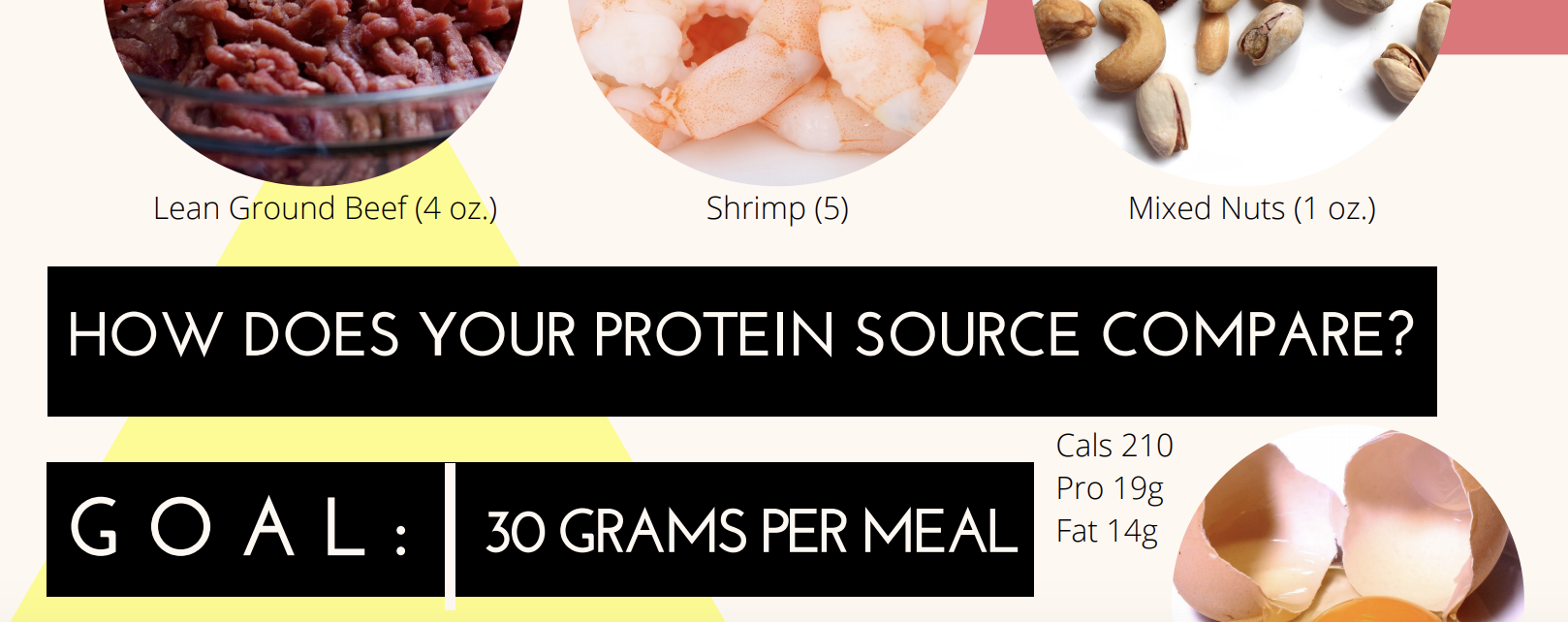 Protein Source Comparison - Well Resourced Dietitian