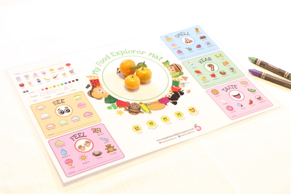 Placemats for Kids, Five Senses, Picky Eater, Teaching Resource, STEAM ...