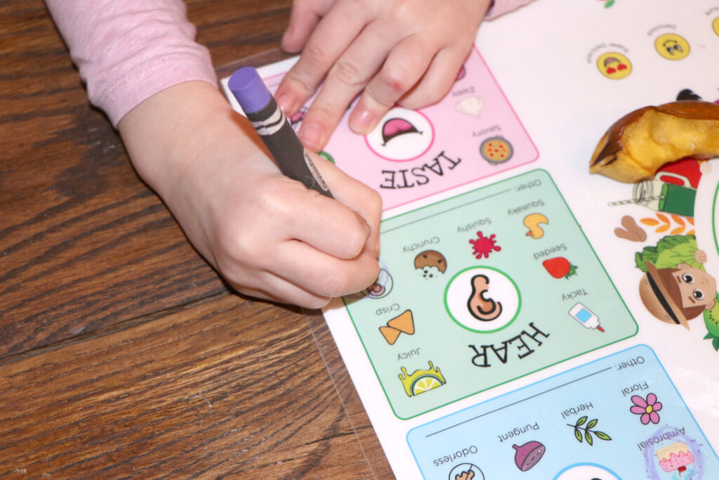 Placemats for Kids, Five Senses, Picky Eater, Teaching Resource, STEAM ...