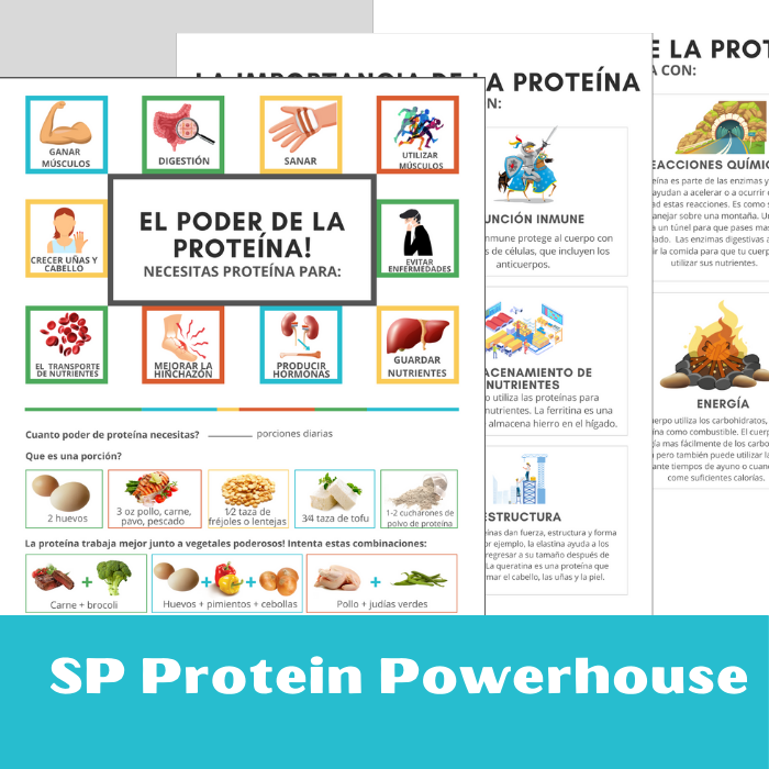 SPANISH Protein Powerhouse Handout for Renal Diet | Well Resourced ...