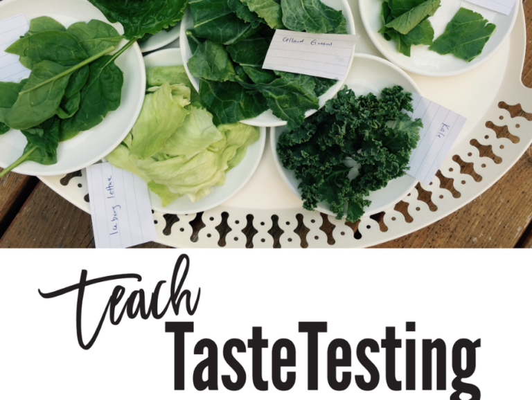 Kids Cooking Class Lesson Plan - Taste Testing - Well Resourced Dietitian