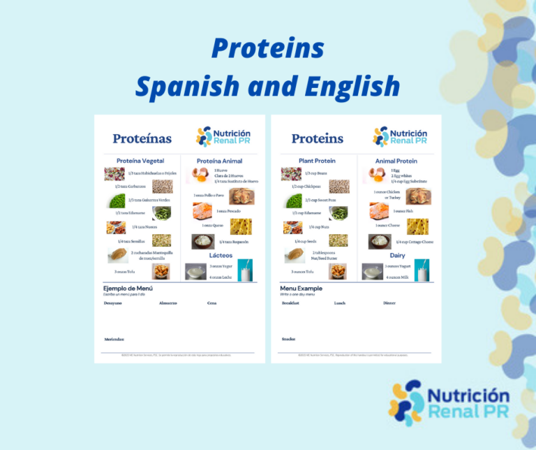 Proteins in the Renal Diet - Well Resourced Dietitian