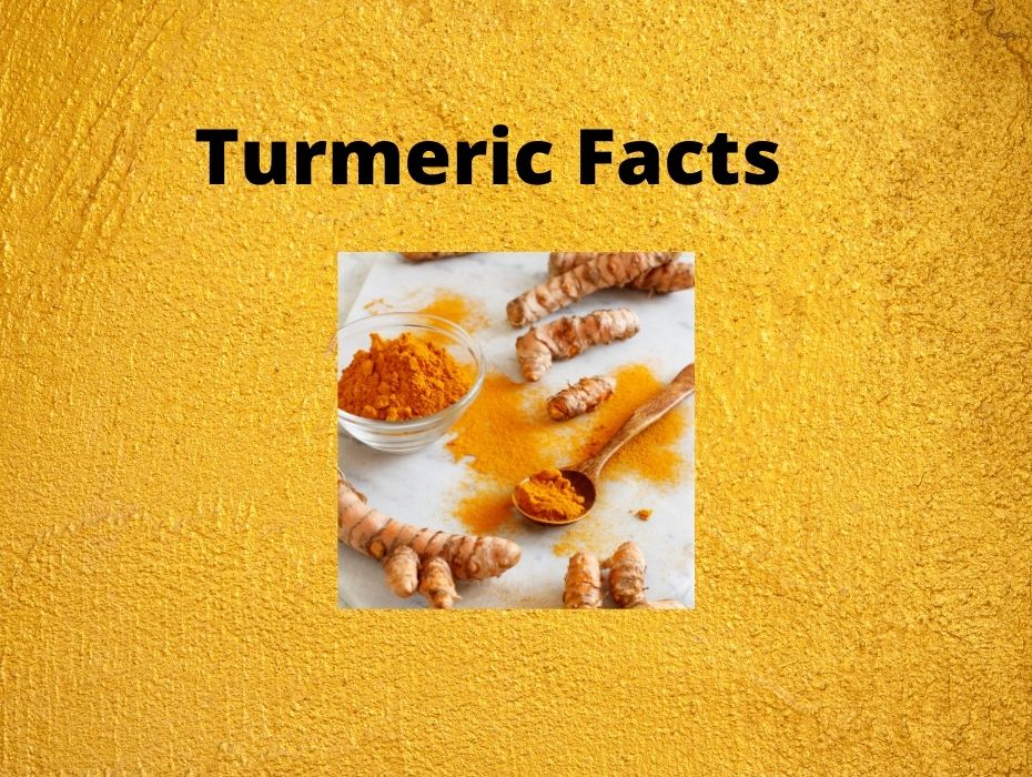 Turmeric Facts - Well Resourced Dietitian