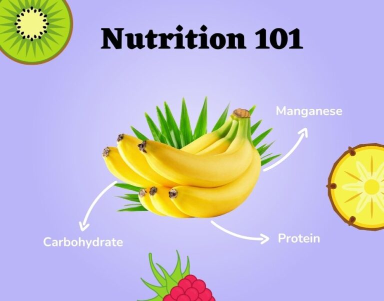 Nutrition 101 - Well Resourced Dietitian