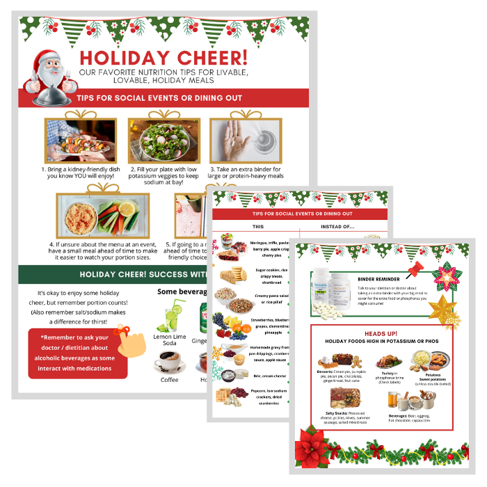 Kidney-Friendly Holiday Handout | Well Resourced Dietitian
