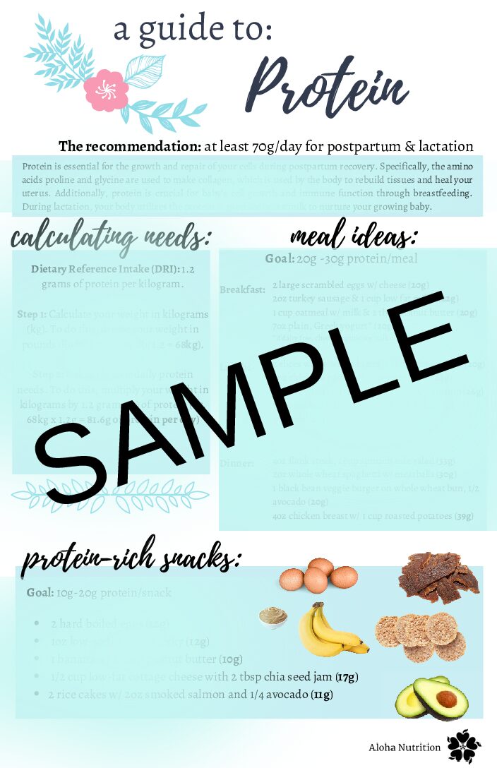 Protein Guide for Postpartum and Lactation Client Handout | Well ...