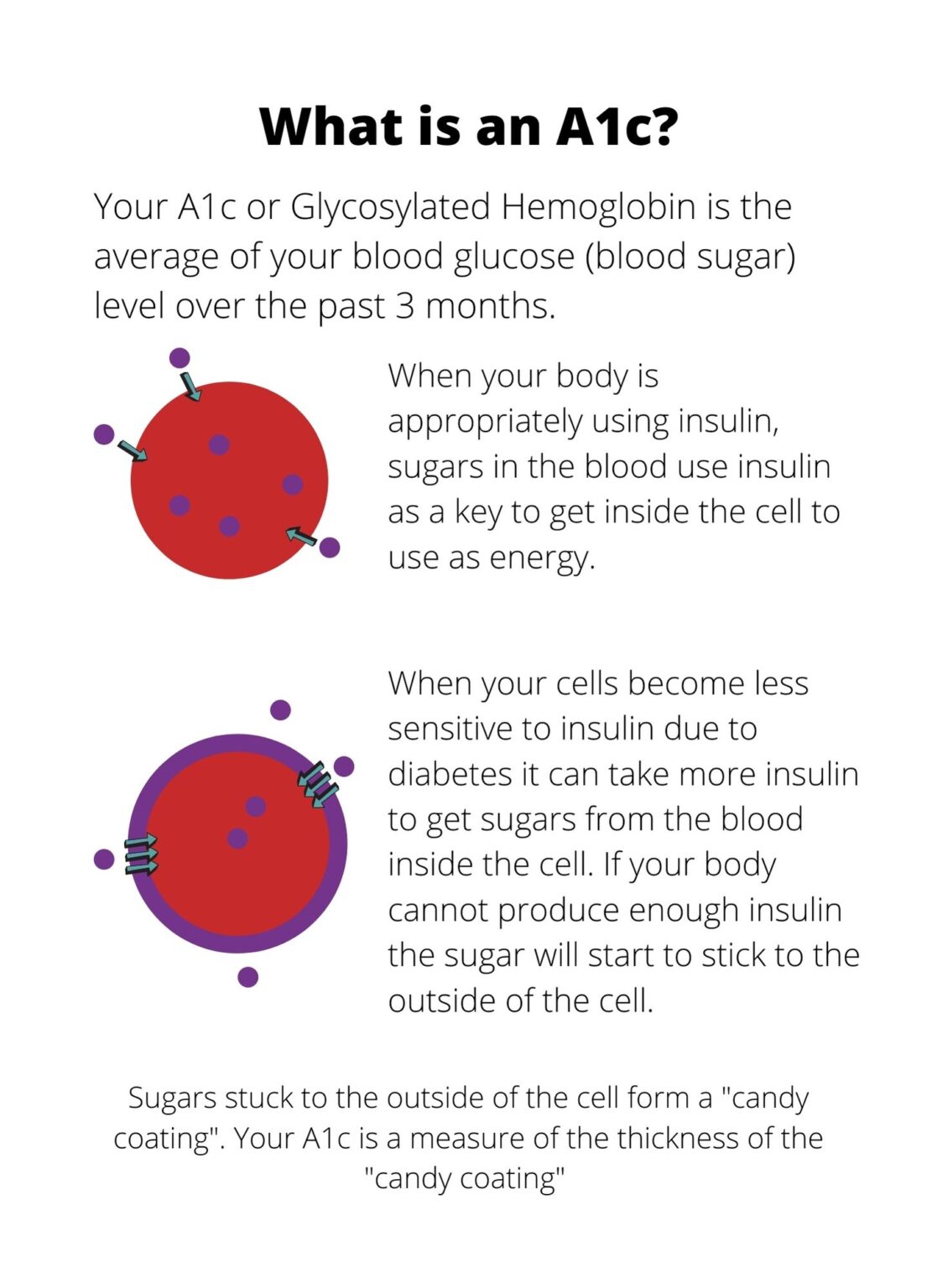 A1c Education - Well Resourced Dietitian