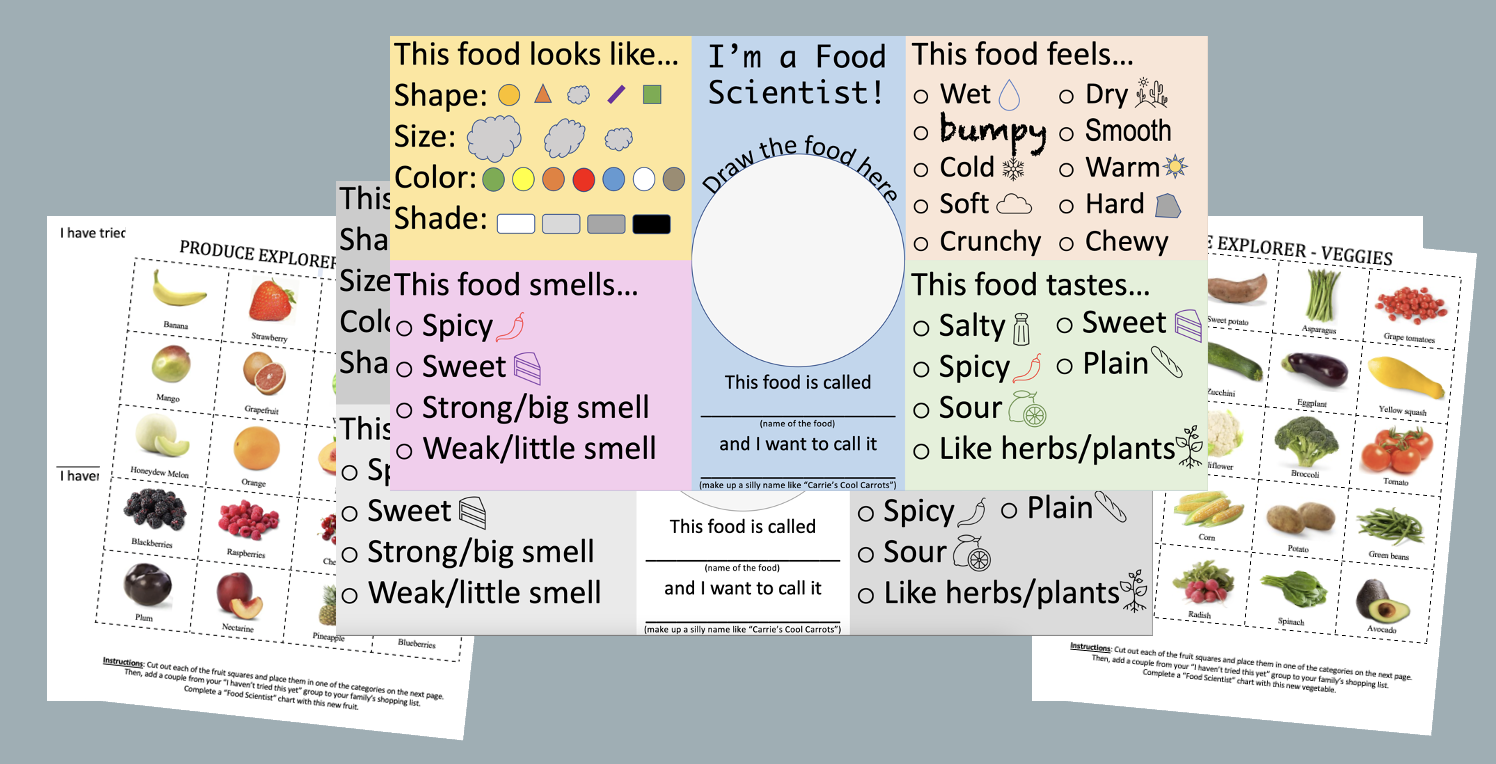 Food Scientist Bundle - Well Resourced Dietitian