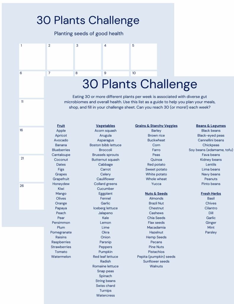 Gut Health Plant-Based Challenge and Food List - Well Resourced Dietitian