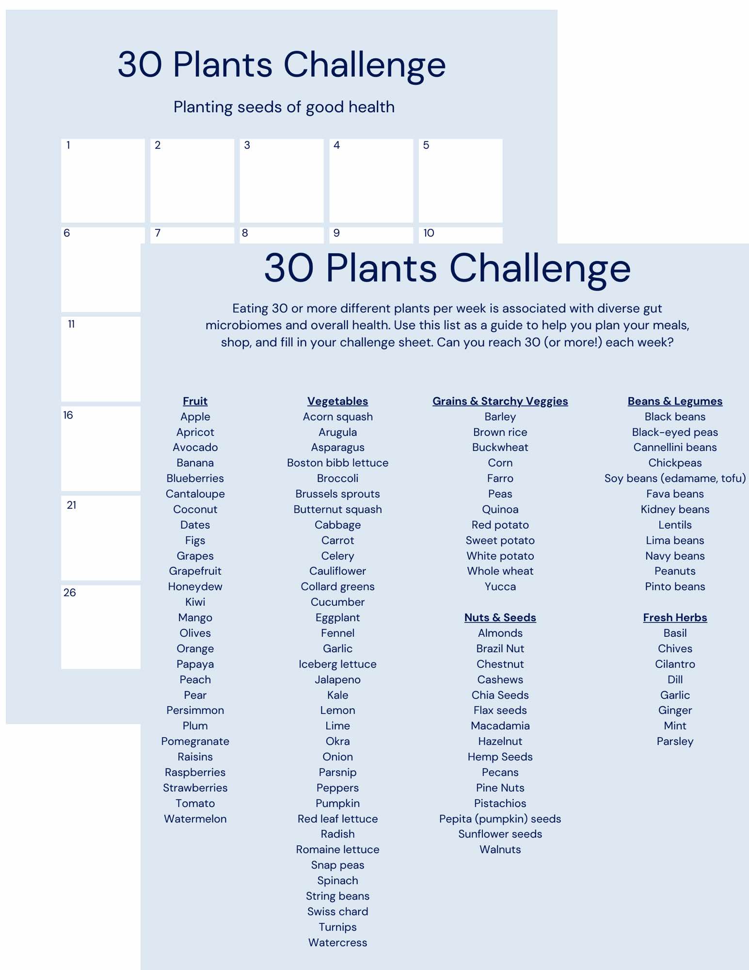 Gut Health Plant-Based Challenge and Food List - Well Resourced Dietitian