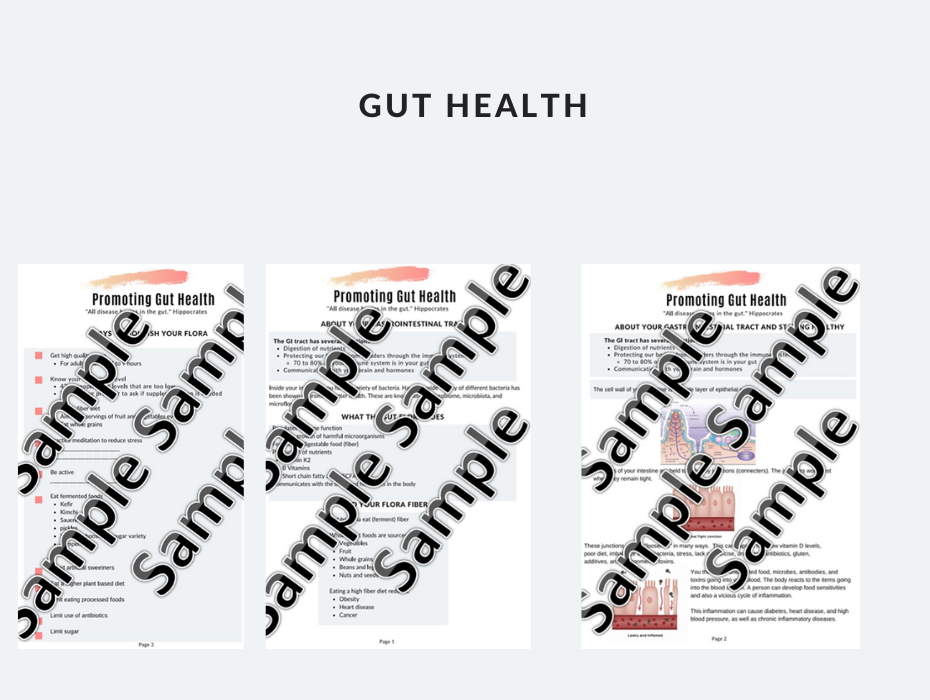 Gut Health Client Education Package - Well Resourced Dietitian