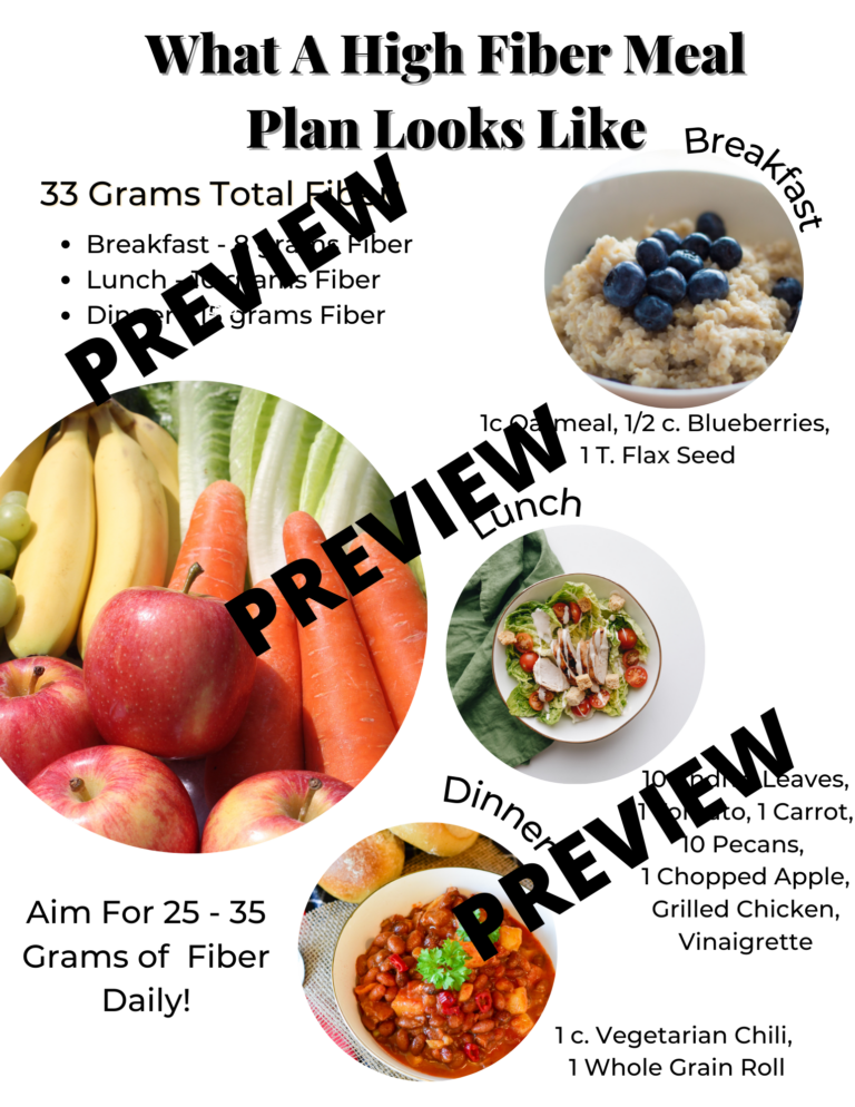 1-Day High Fiber Meal Plan - Well Resourced Dietitian