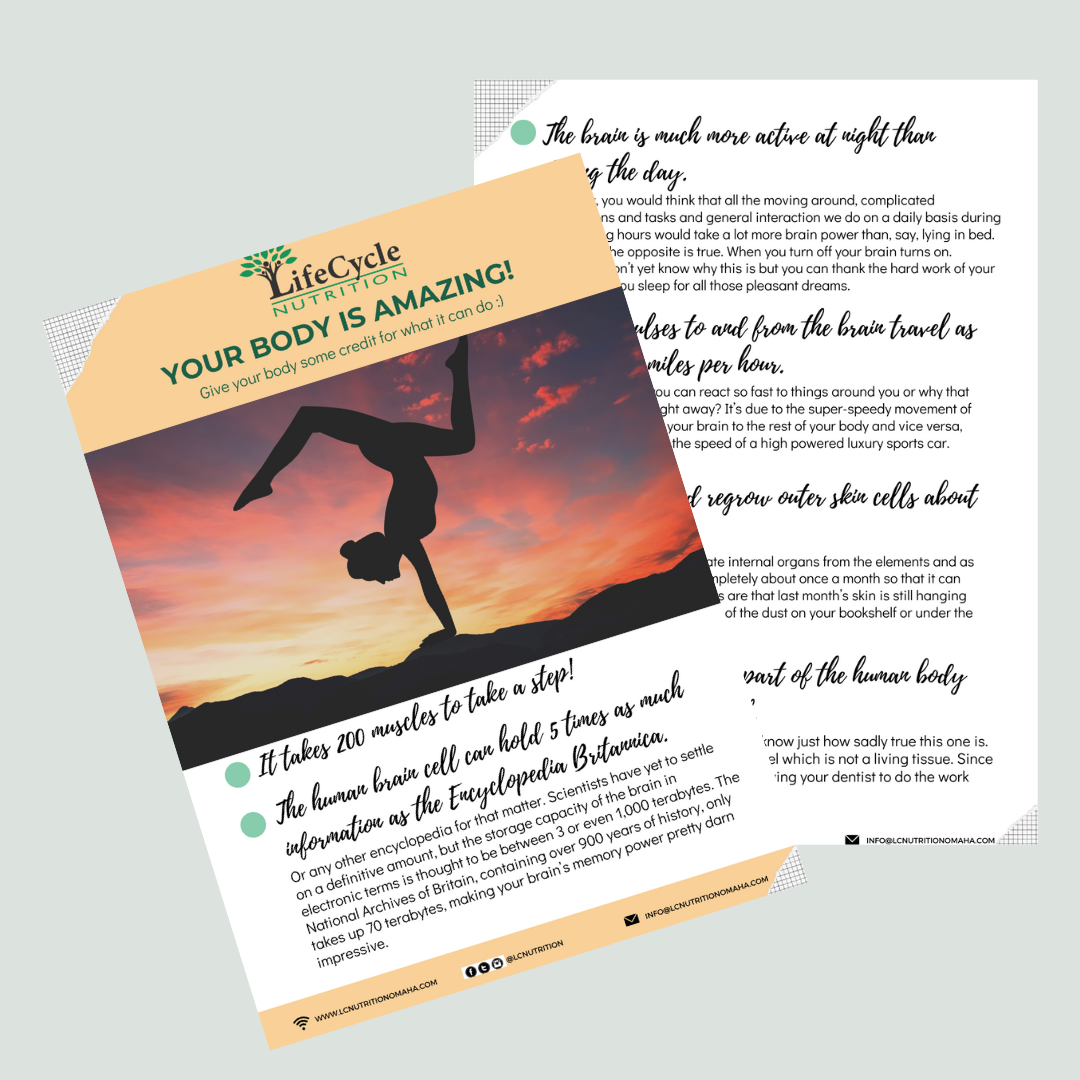 Your Body Is Amazing Handout - Well Resourced Dietitian