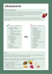 Cholesterol and CVD Nutrition Handout - Well Resourced Dietitian