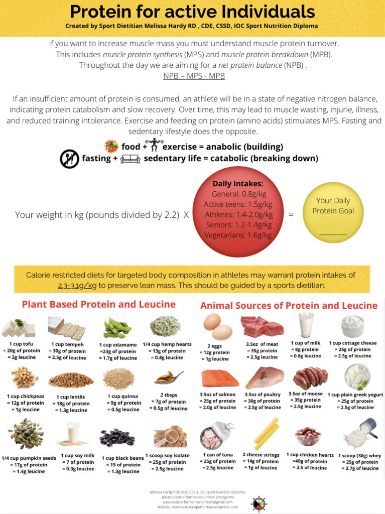Sport Nutrition - Protein for Active Individuals - Well Resourced Dietitian