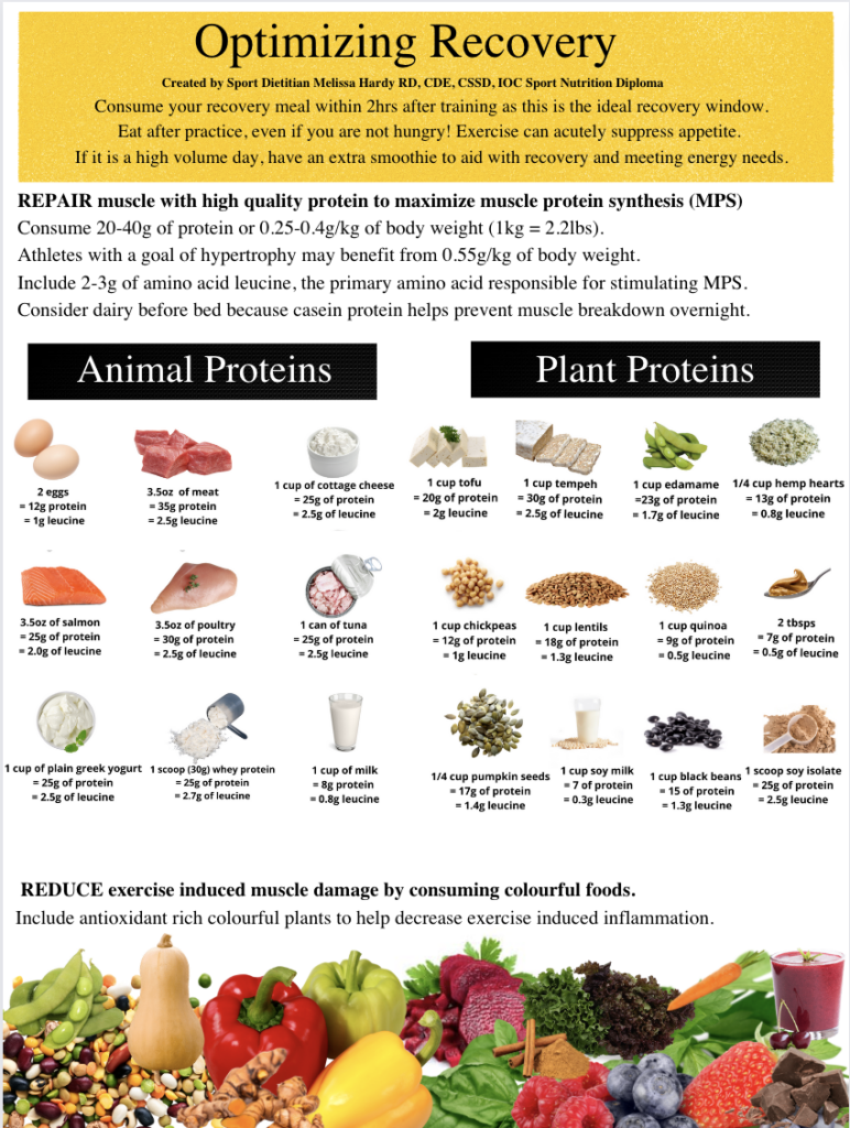 Sport Nutrition - Optimizing Recovery Post Exercise - Well Resourced ...