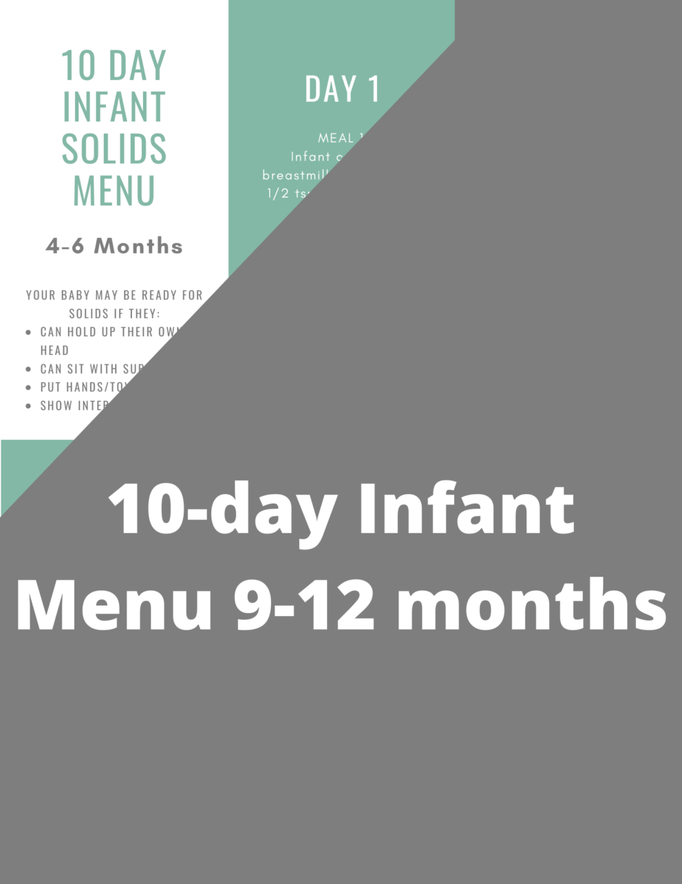 10-Day Infant Solids Menu Ages 9-12 Months - Well Resourced Dietitian