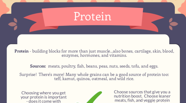 Protein Basics - Well Resourced Dietitian