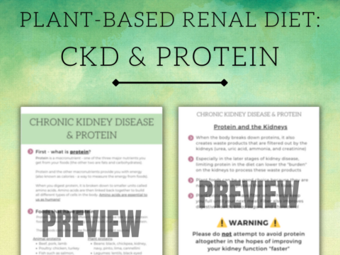 Chronic Kidney Disease & Protein - Well Resourced Dietitian