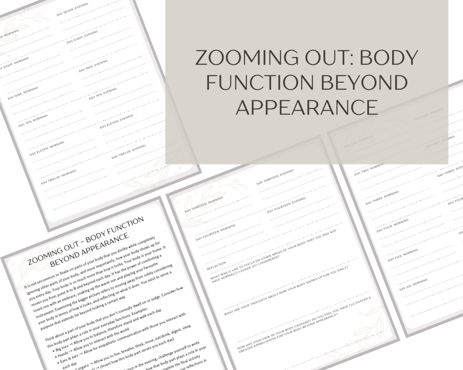 Zooming Out: Body Function Beyond Appearance - Well Resourced Dietitian