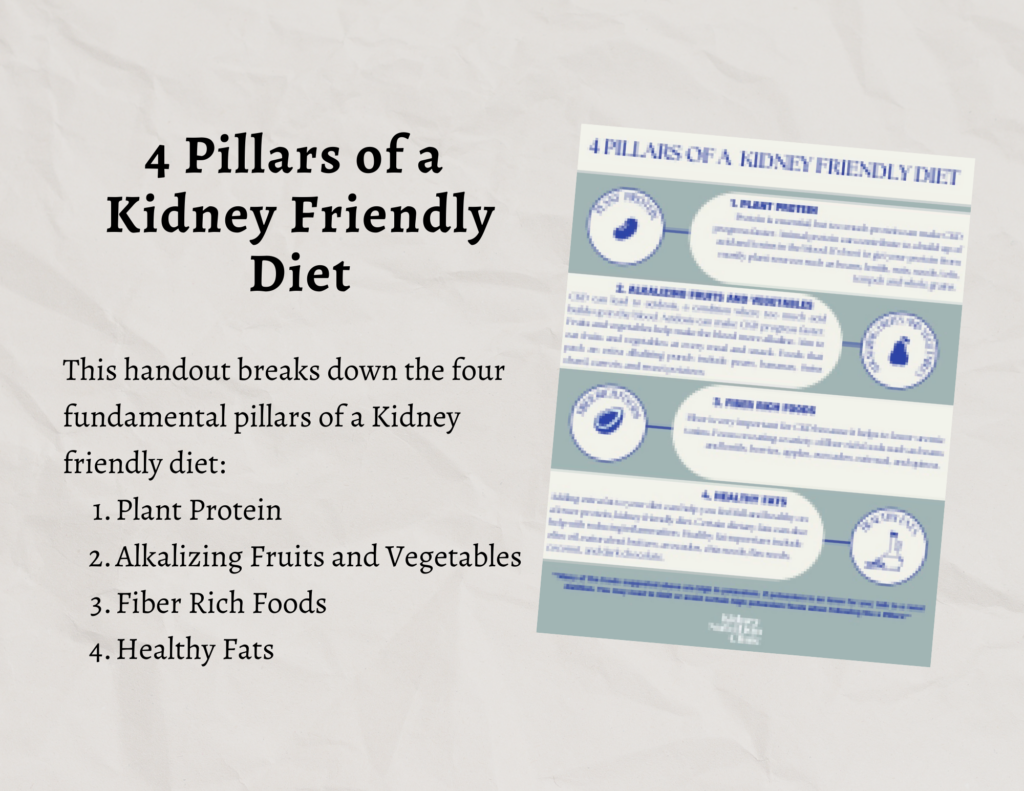 Nutrition for CKD - Well Resourced Dietitian
