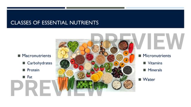 Sports Nutrition for the College Athlete Part I - Well Resourced Dietitian
