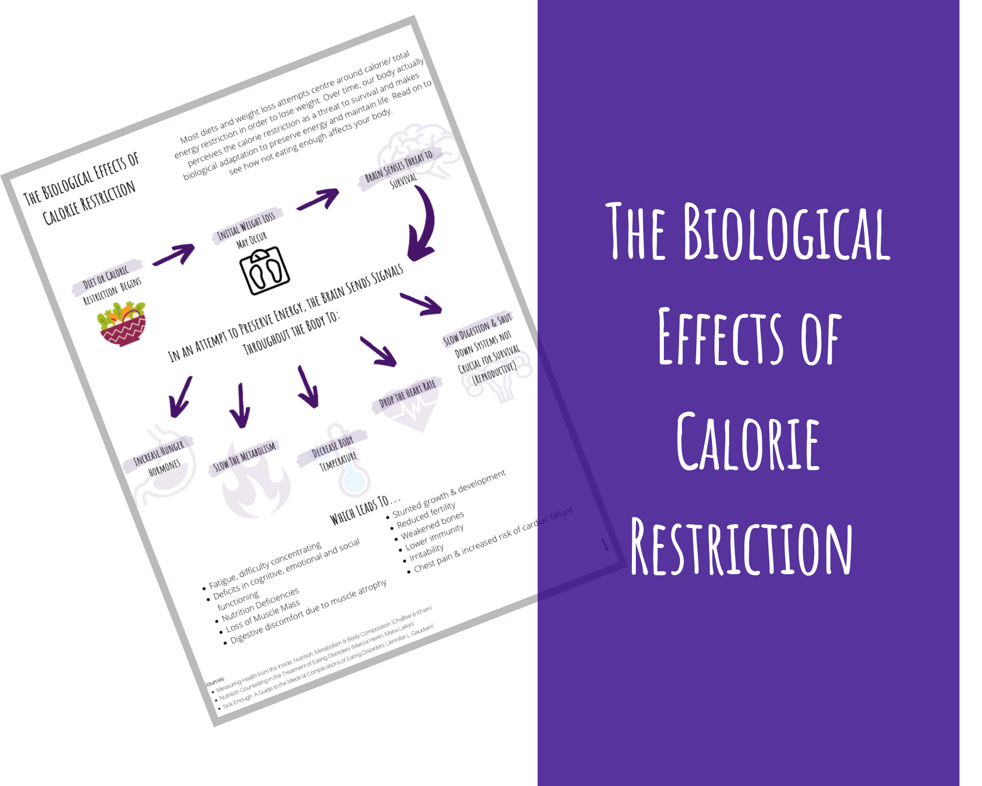 The Biological Effects of Calorie Restriction - Well Resourced Dietitian