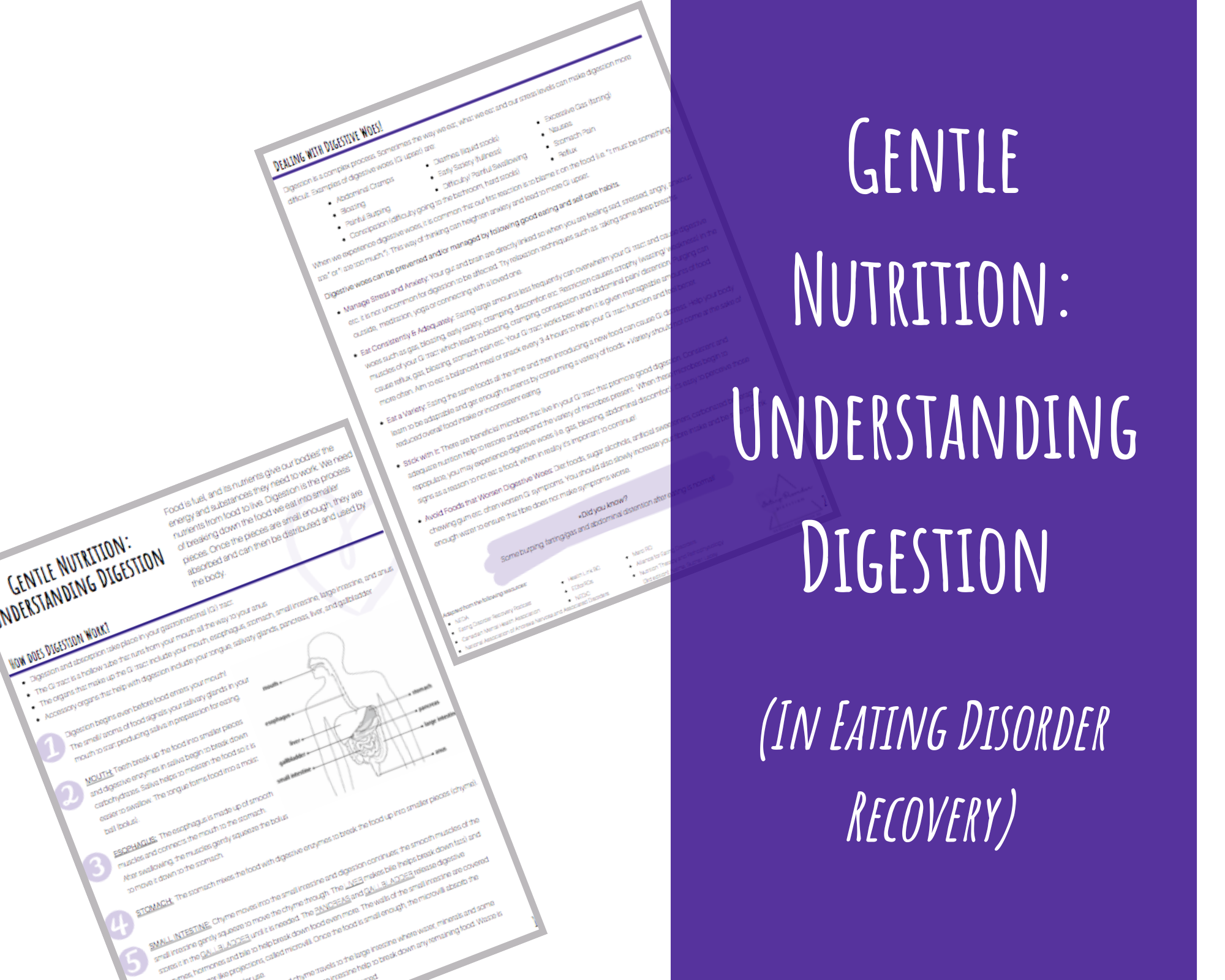 Understanding Digestion - Well Resourced Dietitian