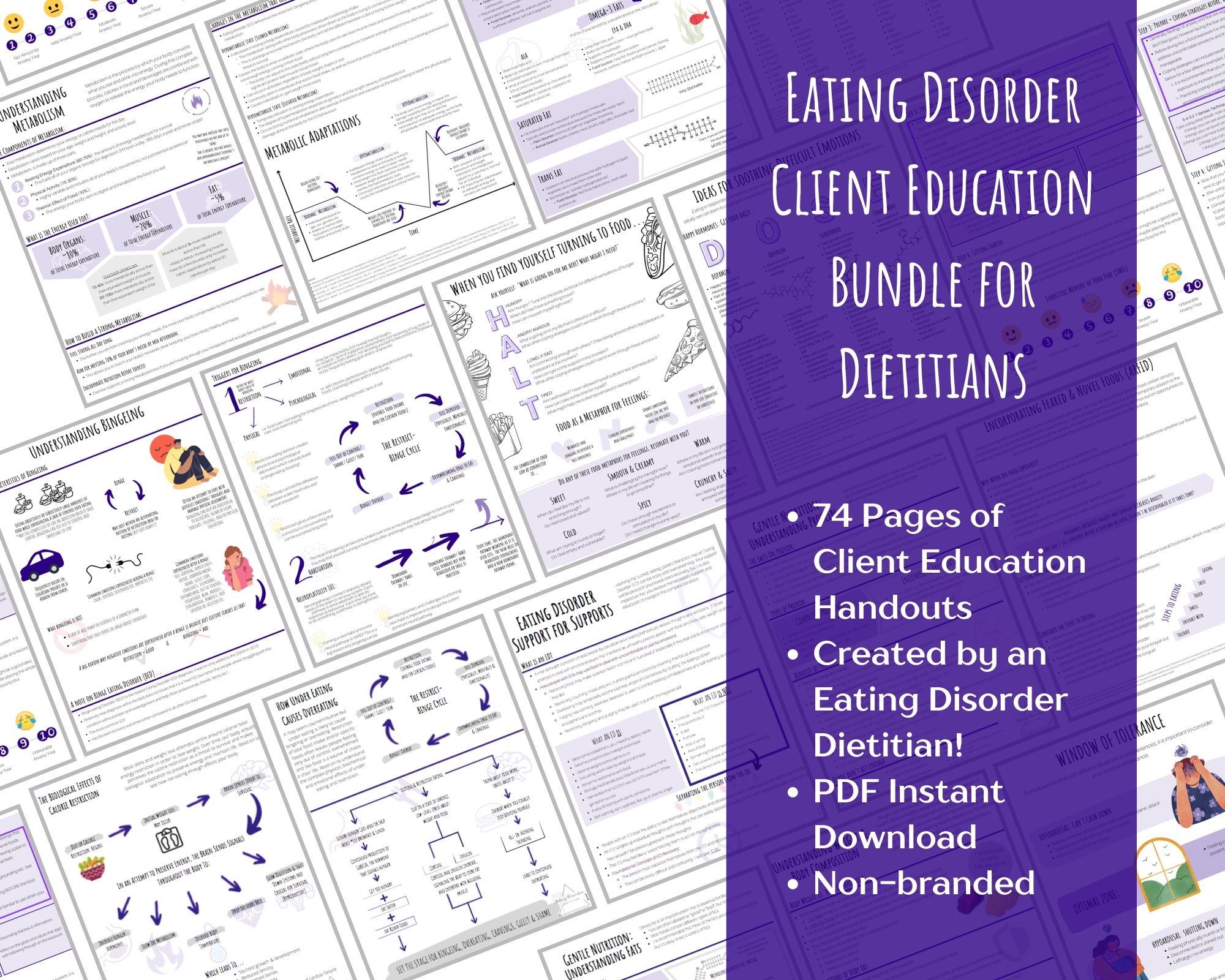 Ultimate Eating Disorder Gentle Nutrition Bundle - Well Resourced Dietitian