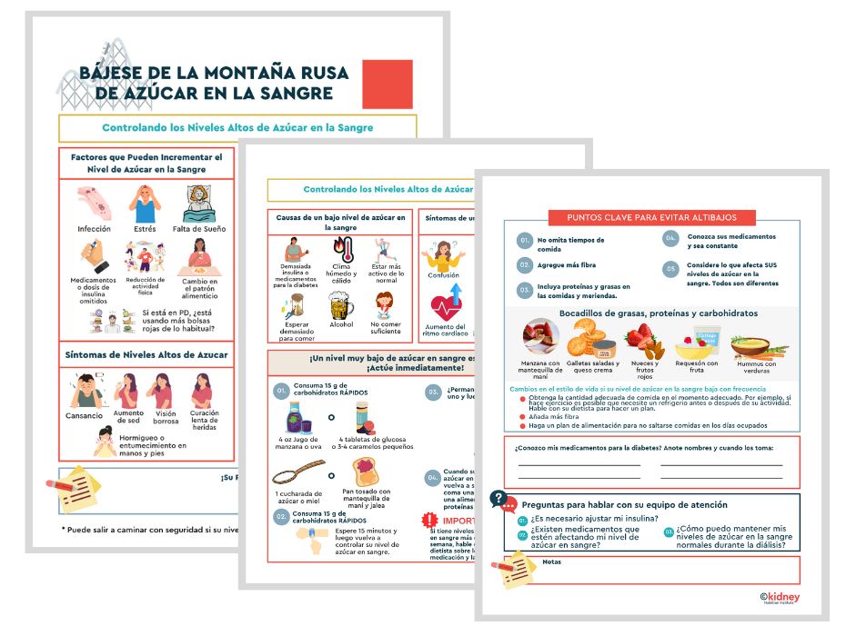 Spanish Blood Sugar Rollercoaster Handout - Well Resourced Dietitian