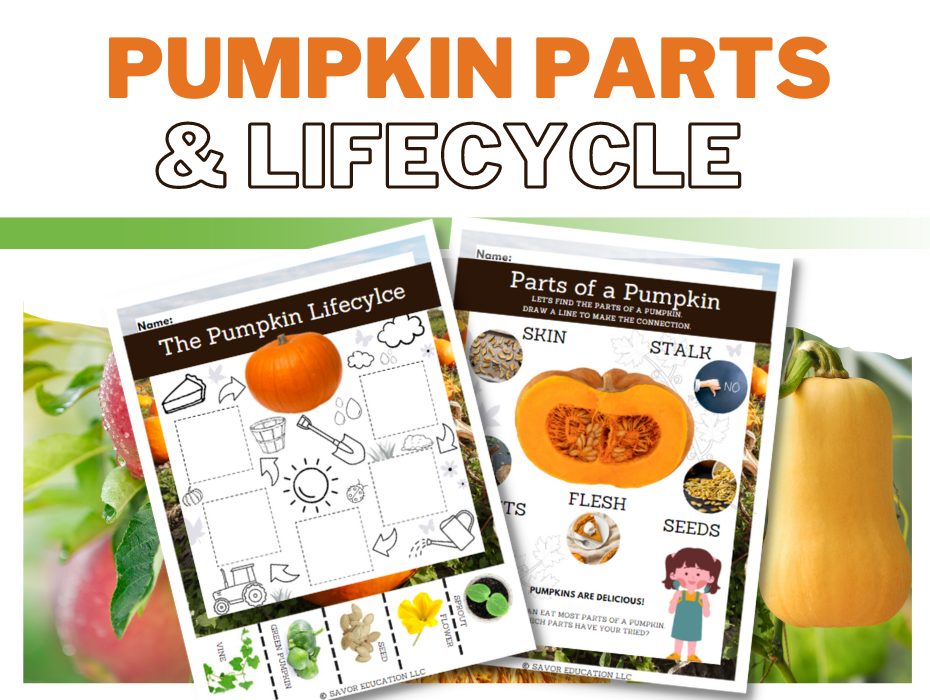 Pumpkin Parts & Lifecycle - Well Resourced Dietitian