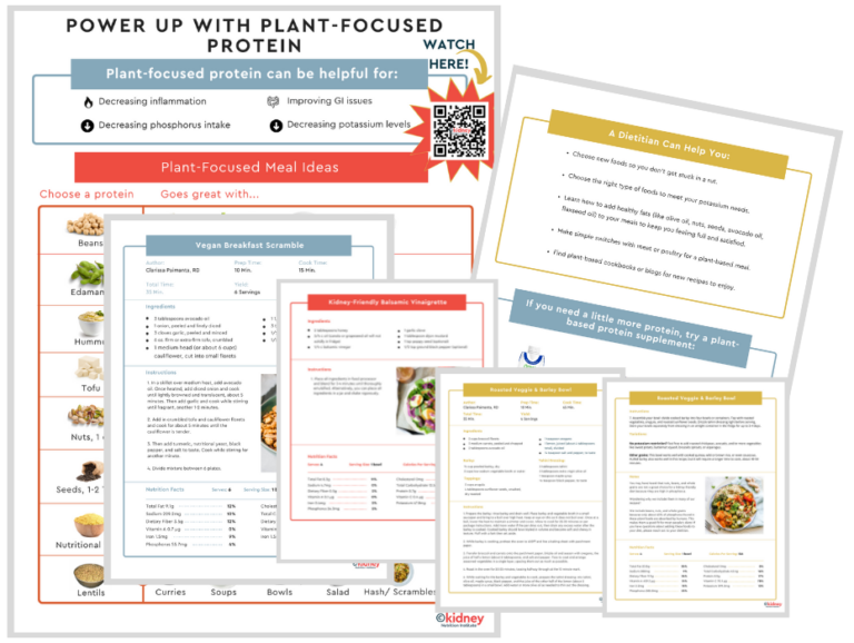 Plant-Focused Proteins Patient Handout - Well Resourced Dietitian