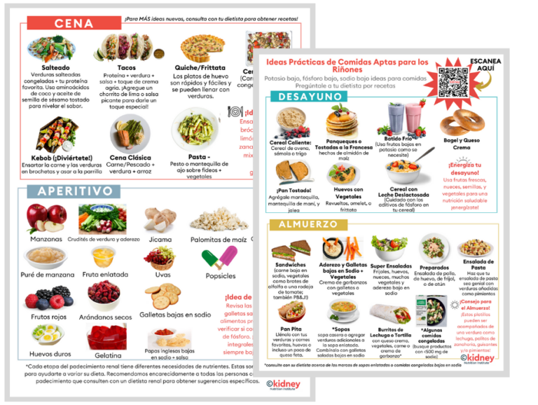 SPANISH Kidney-Friendly Meal Ideas - Well Resourced Dietitian