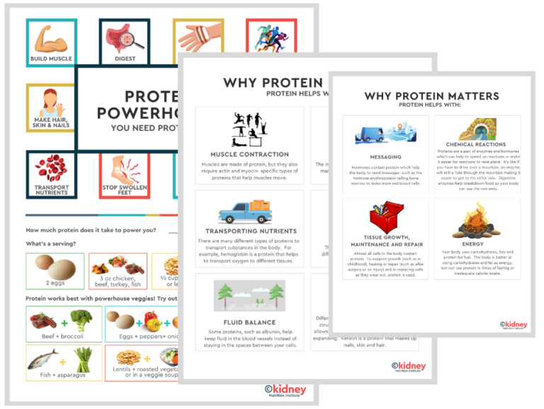 Protein Powerhouse Handout for Renal Diet - Well Resourced Dietitian