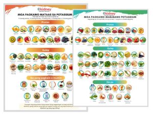 TAGALOG High and Low Potassium Handout - Well Resourced Dietitian