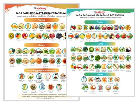 TAGALOG High and Low Potassium Handout - Well Resourced Dietitian