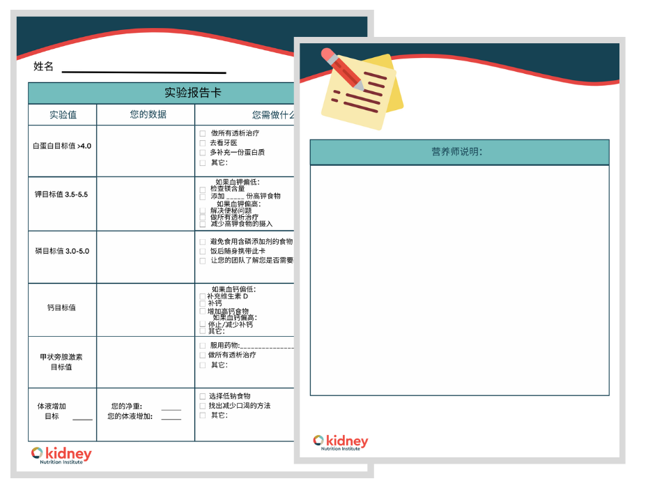 CHINESE Monthly Lab Report for Dialysis, CKD, kidney - Well Resourced ...