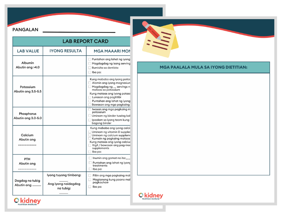 TAGALOG Monthly Lab Report for Dialysis, CKD, kidney - Well Resourced ...